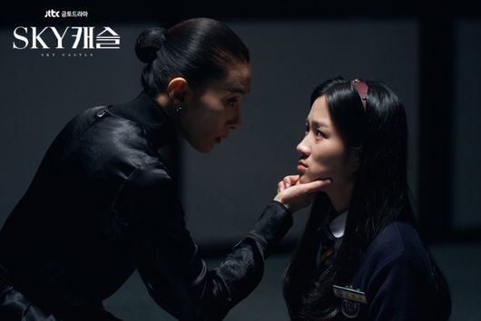 'SKY캐슬' 22.3％…'도깨비' 넘어 역대 비지상파 1위